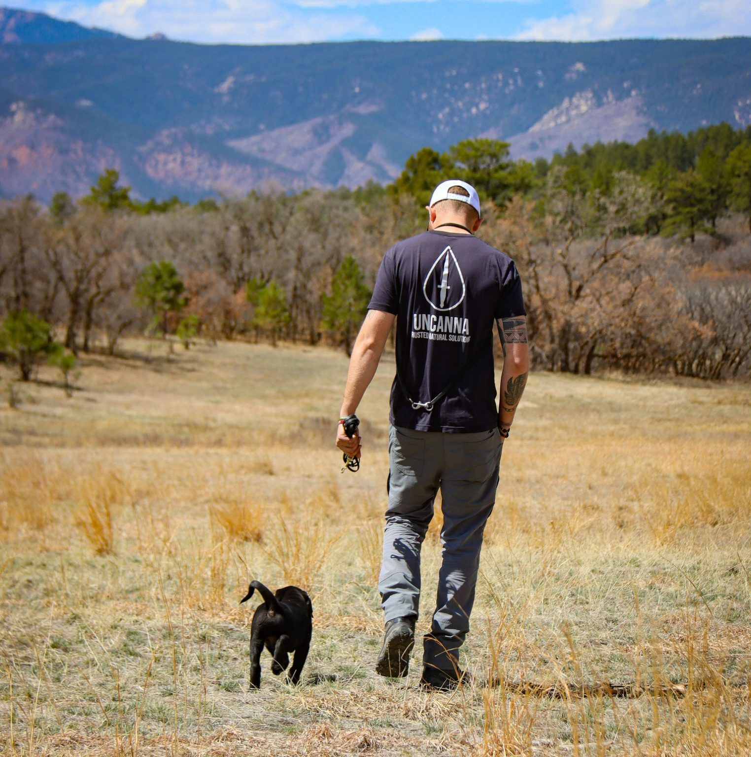 What is 'Balanced' Dog Training and Why Does it Work? - M.O.C. K-9 Training